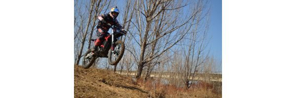 Elektroroller von TRINITY Electric Vehicles